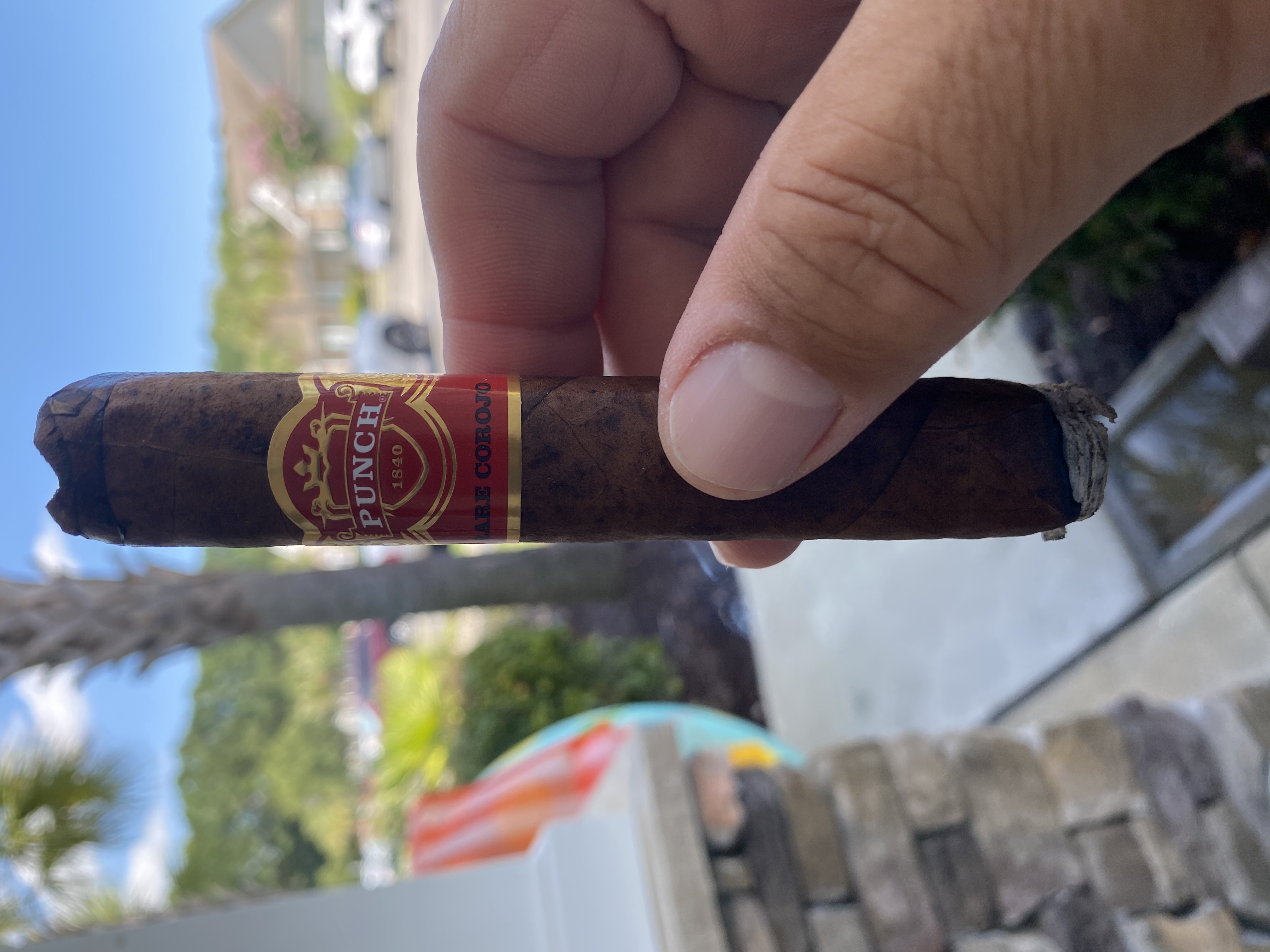 Punch power | Cigar Reviews | Cigar World