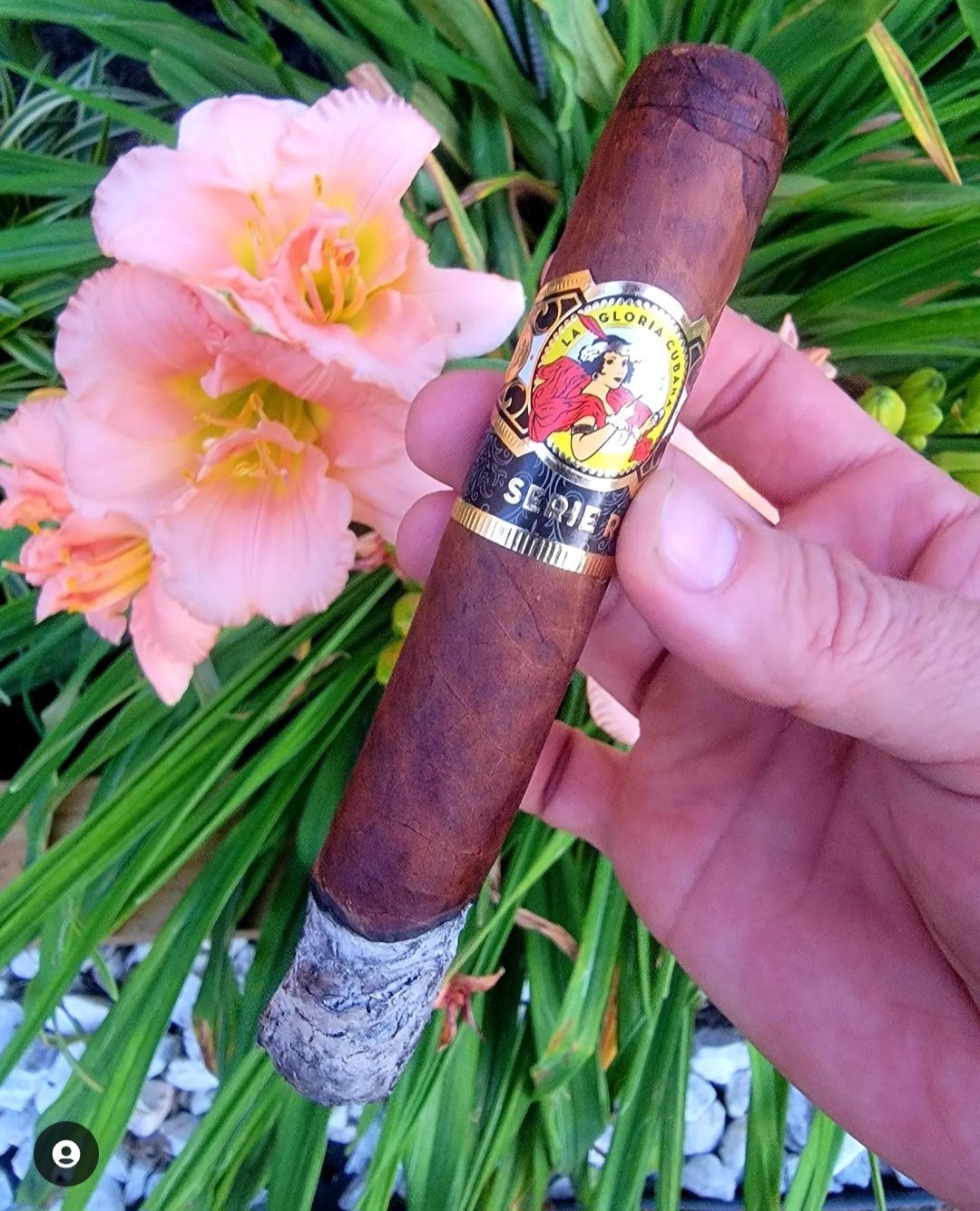 Beautiful!! | Cigar World